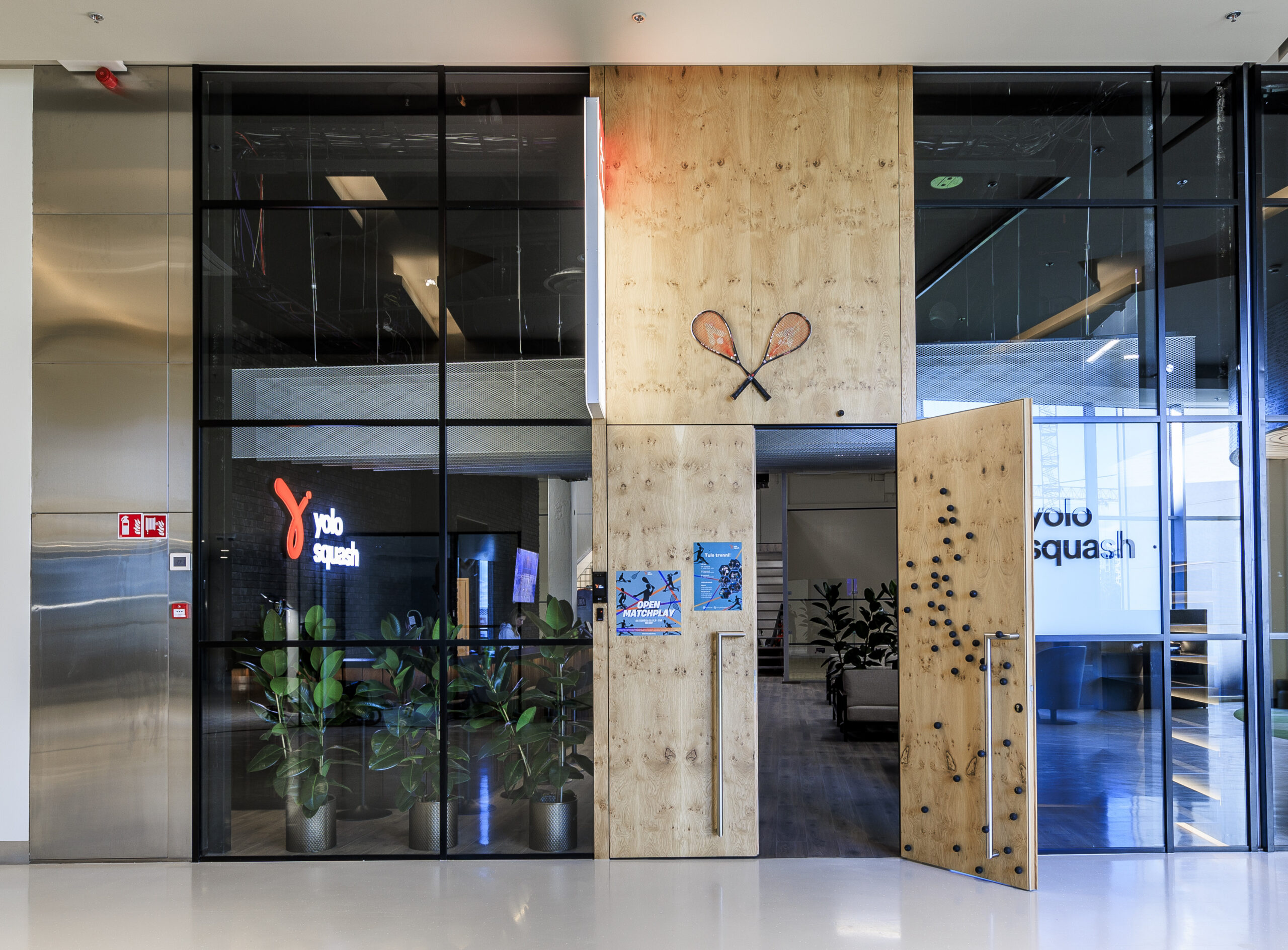 Yolo Squash - T1 Tallinn